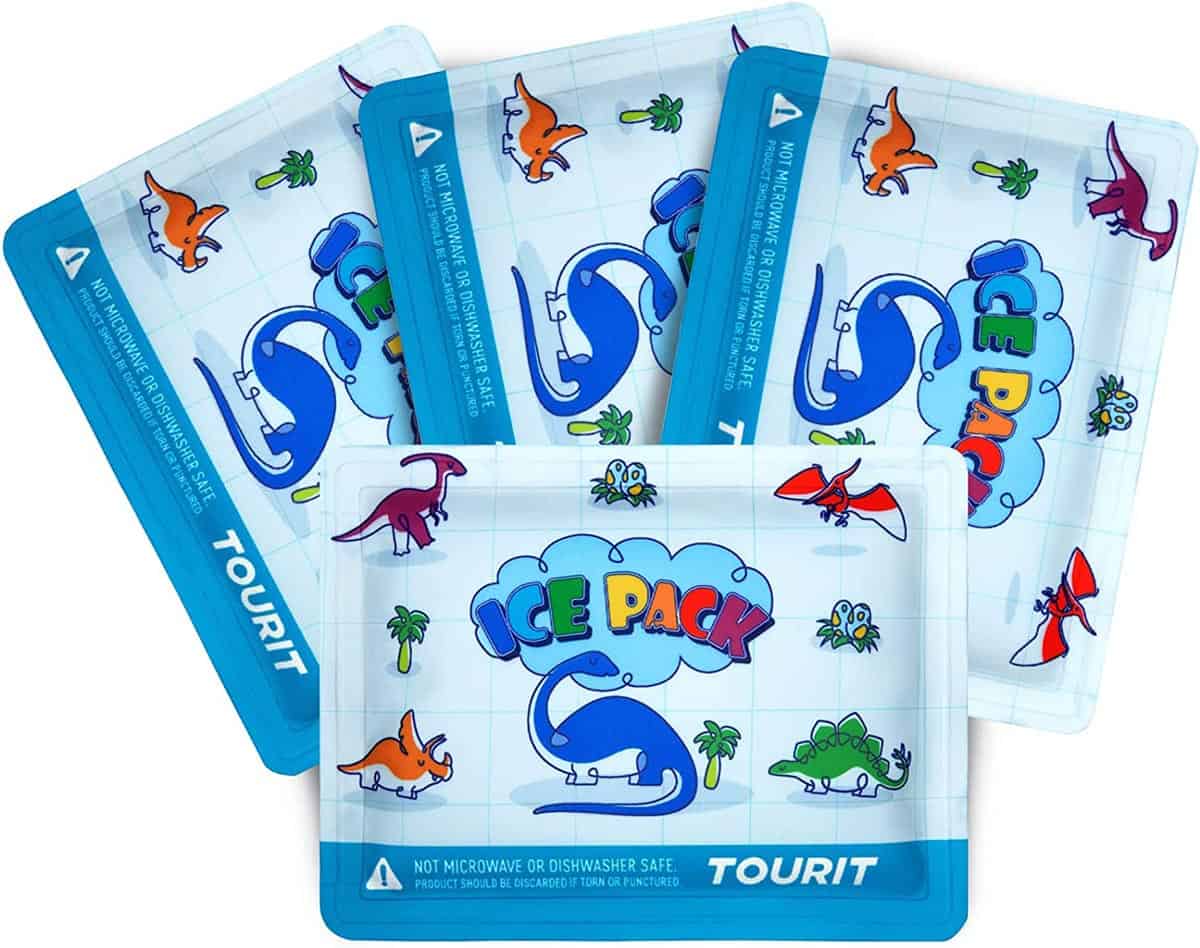14 Best Ice Packs for Kids' Lunch Boxes - Healthy Kids Recipes
