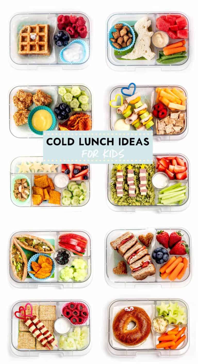 36 Healthy Cold Lunchbox Ideas for Kids - Healthy Kids Recipes