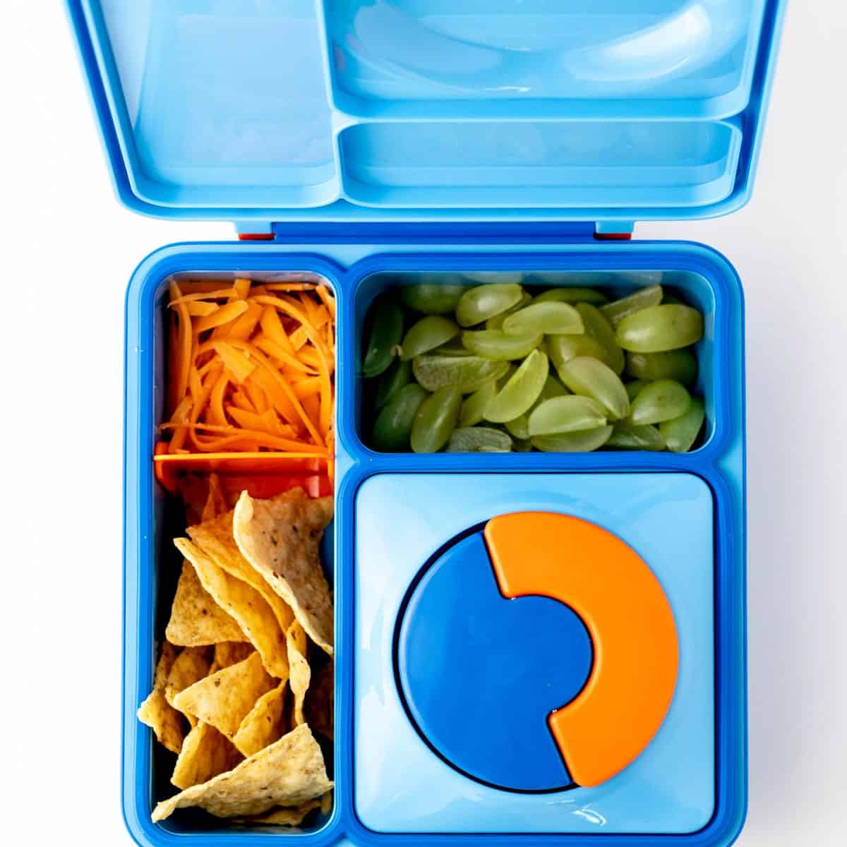 Find the Best Lunch Box to Keep Food Warm - Healthy Kids Recipes